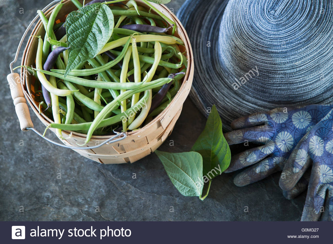 Bushel green beans hi-res stock photography and images - Alamy