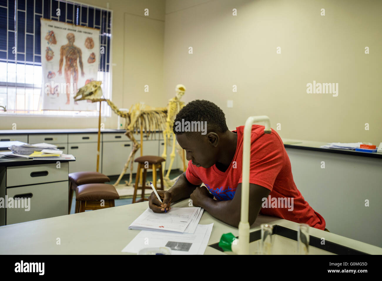 University namibia campus windhoek namibia hi-res stock photography and ...