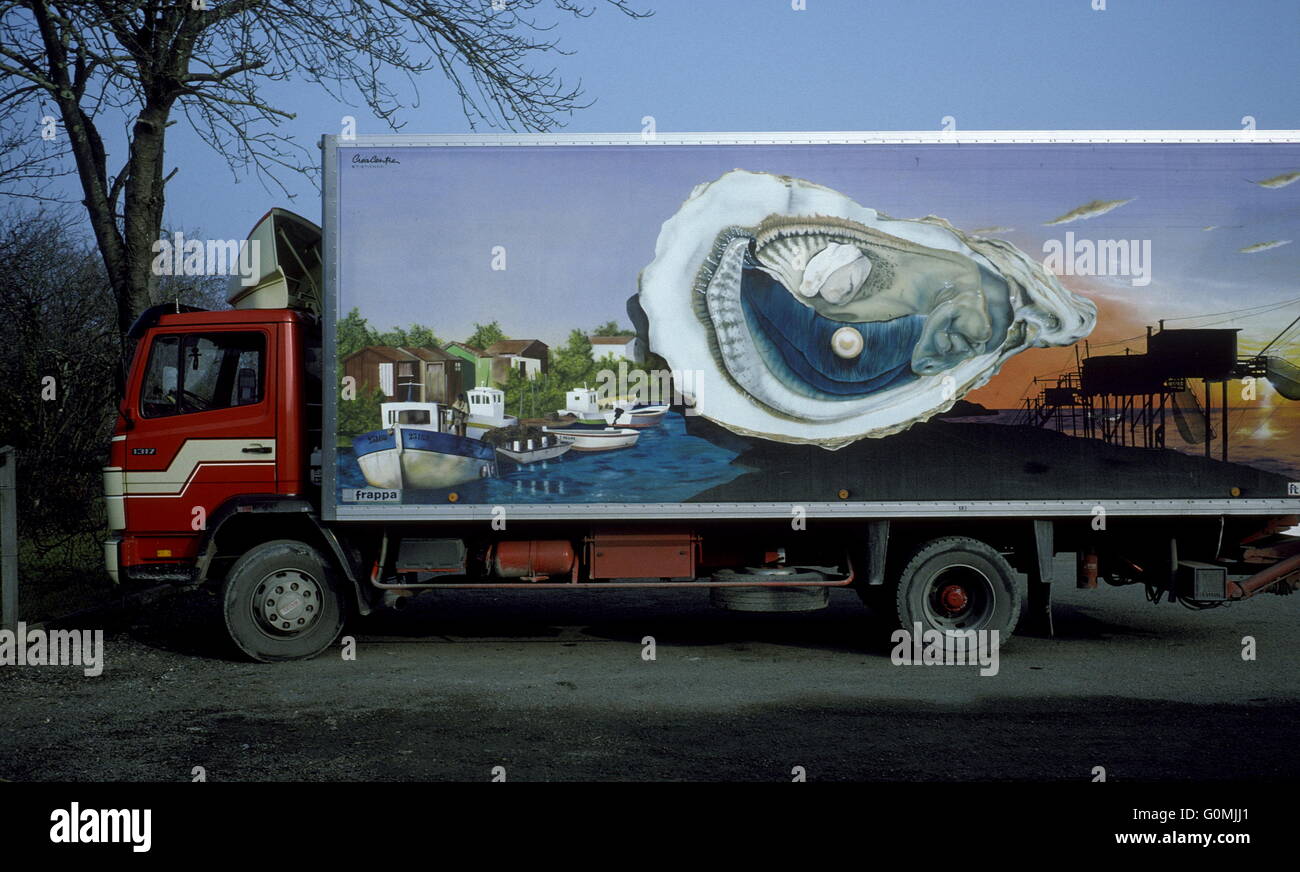 Drawng oyster hi-res stock photography and images - Alamy