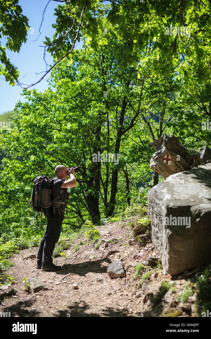 Professional nature photographer hiking on a trail in mountains Stock ...