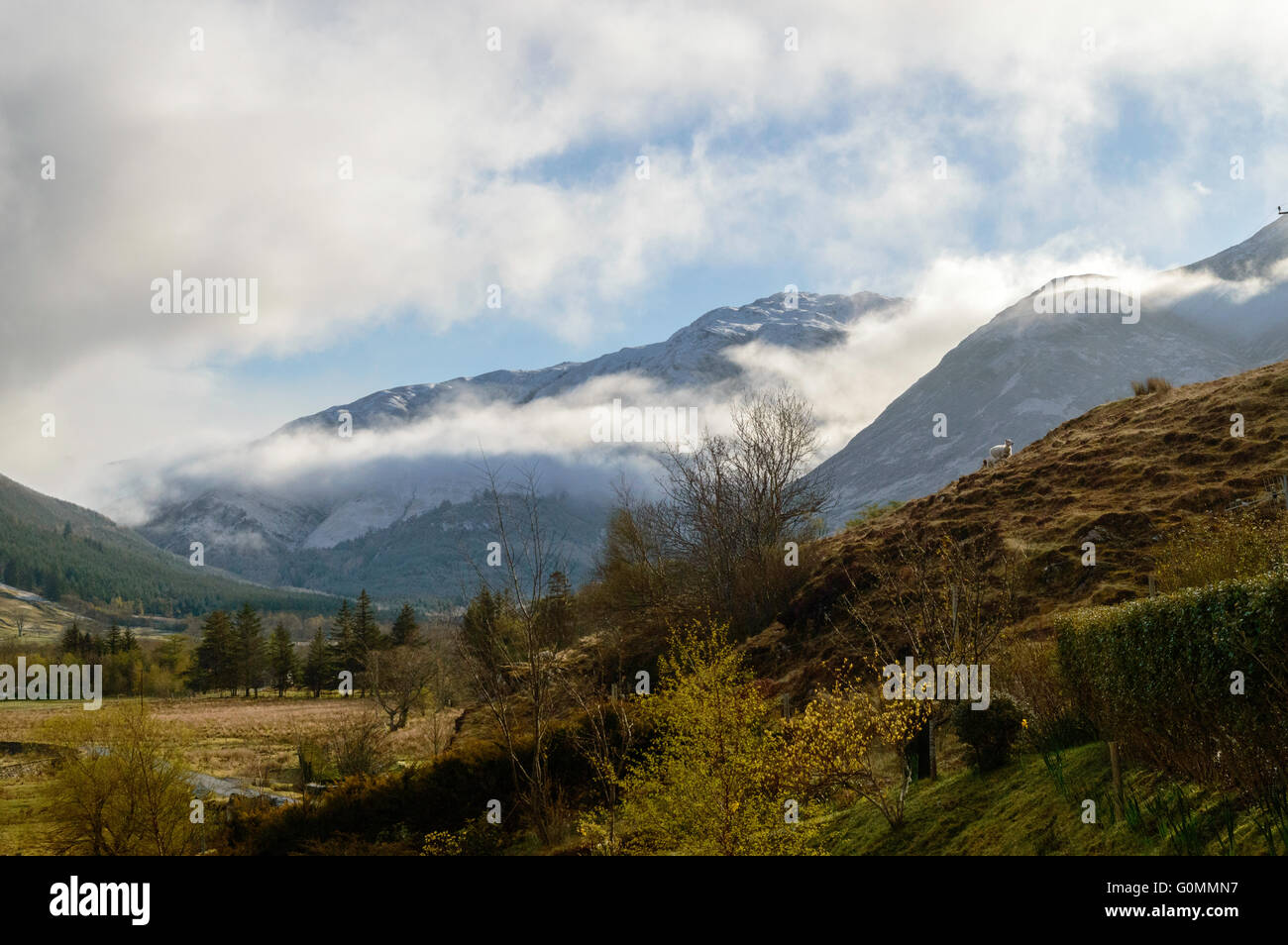 Mountains of Kintail in the Scottish Highlands Stock Photo - Alamy