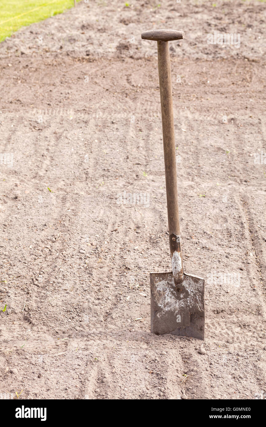 Old rusty shovel stuck into ground, shallow depth of field Stock Photo ...