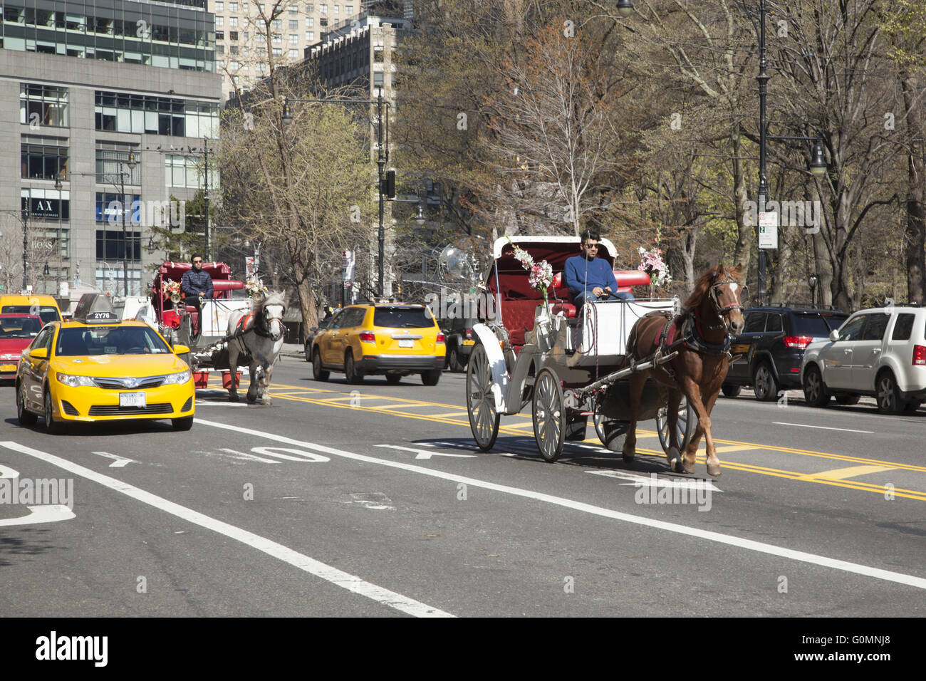 Horse and buggy drivers headed to work in Central Park at Columbus ...
