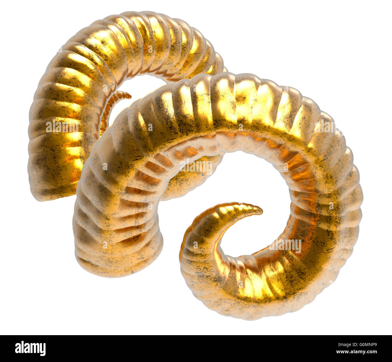 Mutton horn Cut Out Stock Images & Pictures - Alamy