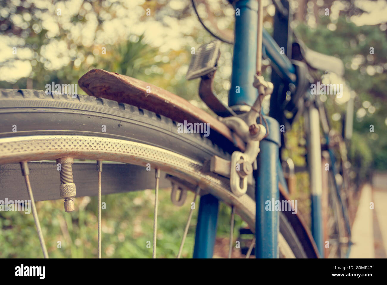 Vintage green bike hi-res stock photography and images - Alamy