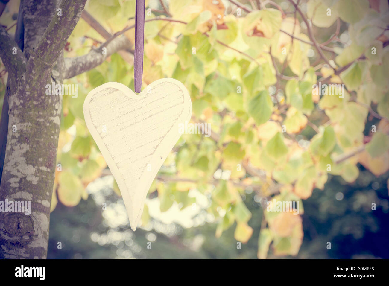 Wooden white heart hanging in a tree Stock Photo - Alamy