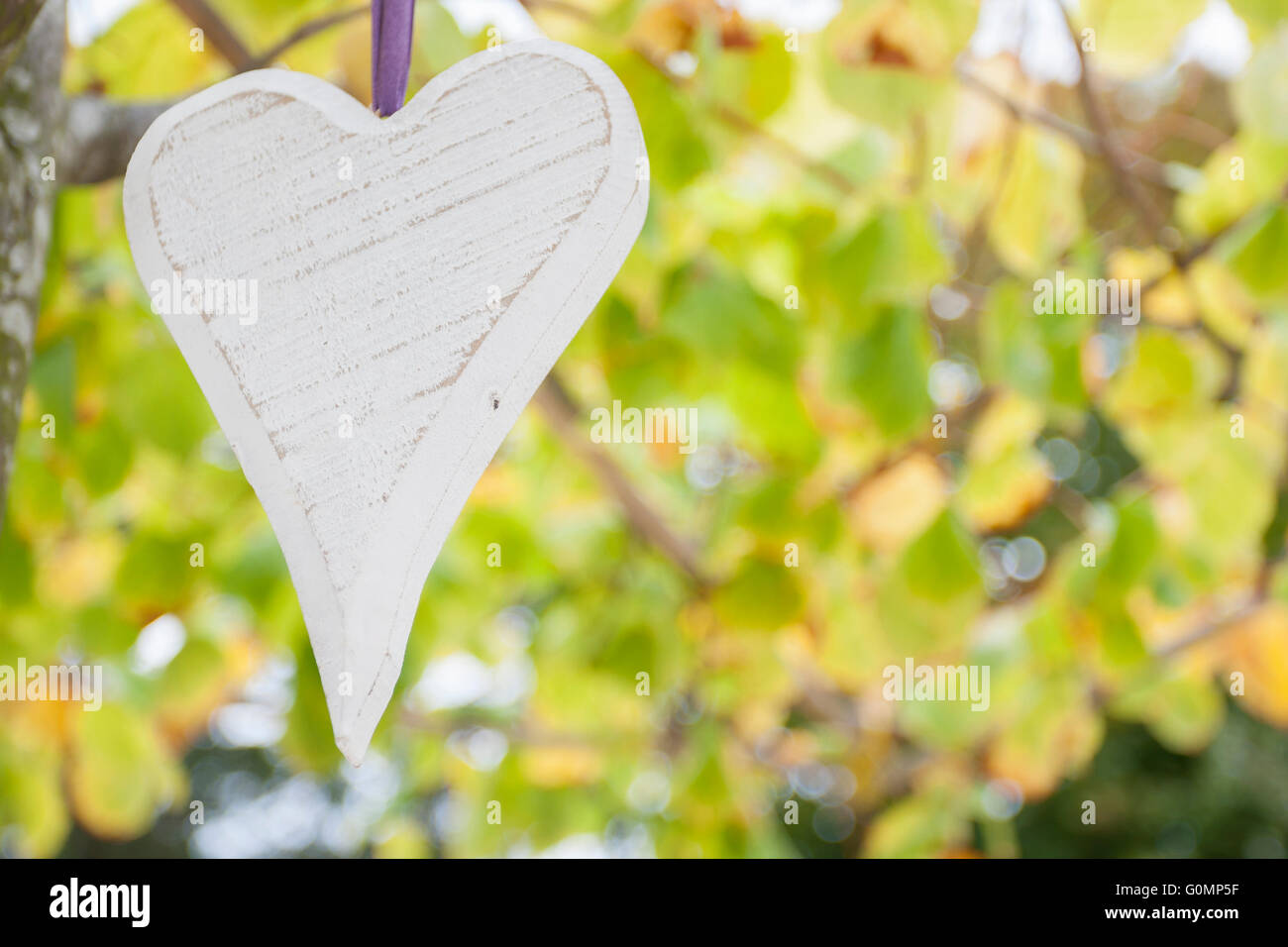 White wooden tree hi-res stock photography and images - Alamy