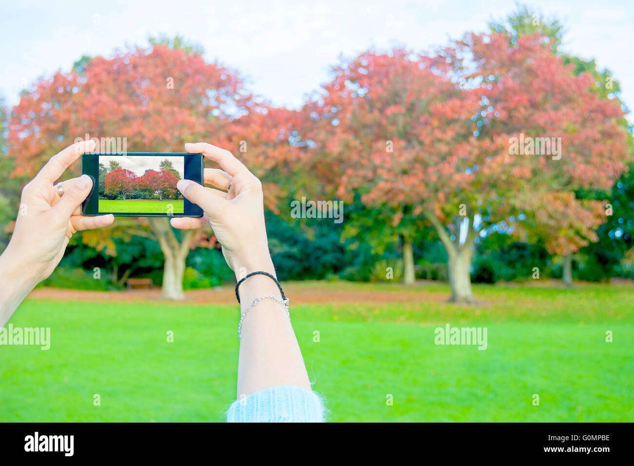 Young adult woman taking a picture in a autumn landscape Stock Photo ...