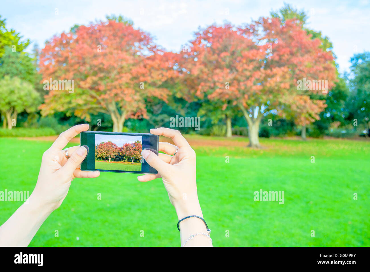 Young adult woman taking a picture in a autumn landscape Stock Photo ...