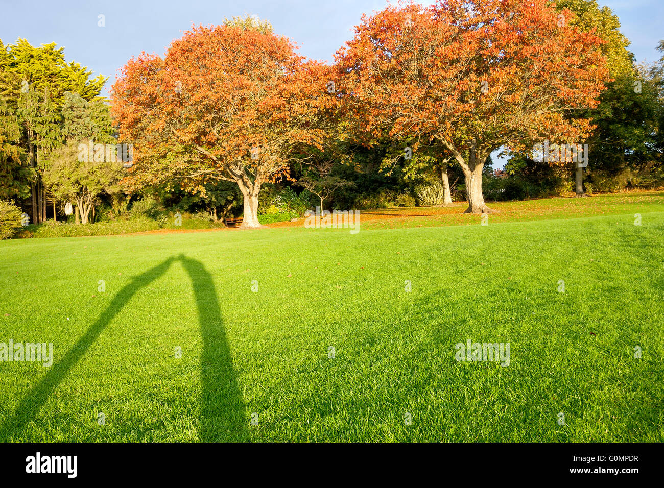 Shadows couple kissing in a autumn landscape Stock Photo - Alamy