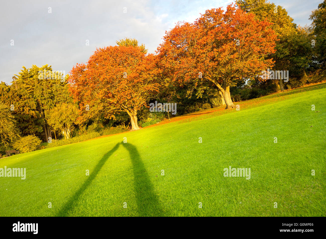 Shadows couple kissing in a autumn landscape Stock Photo - Alamy
