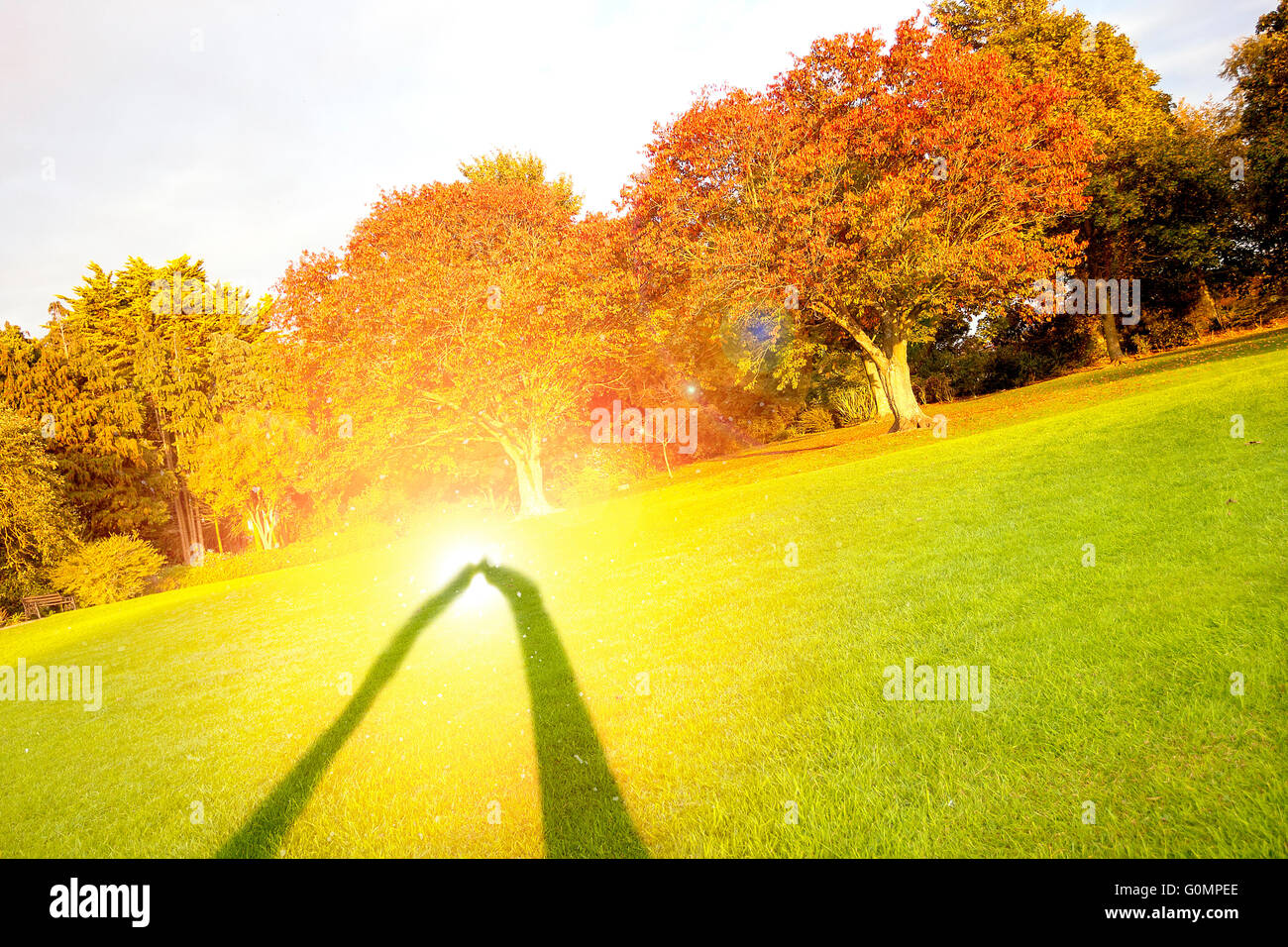 Shadows couple kissing in a autumn landscape Stock Photo - Alamy