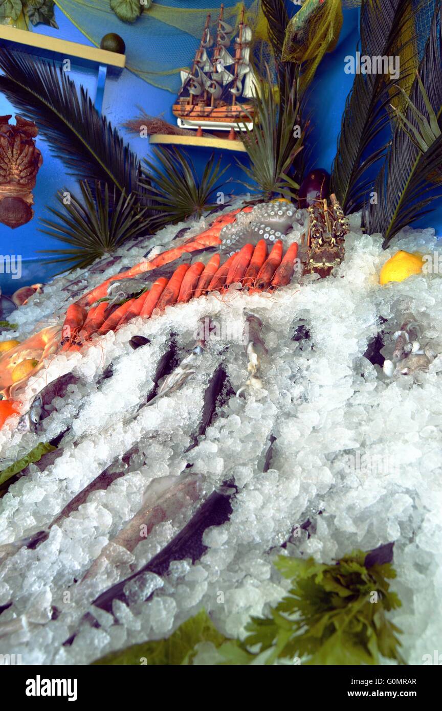 Display stands of fishes and seafoods but also shellfish put on the ice ...
