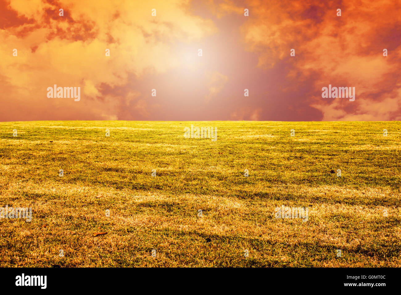 The lawn in garden and sky Stock Photo - Alamy