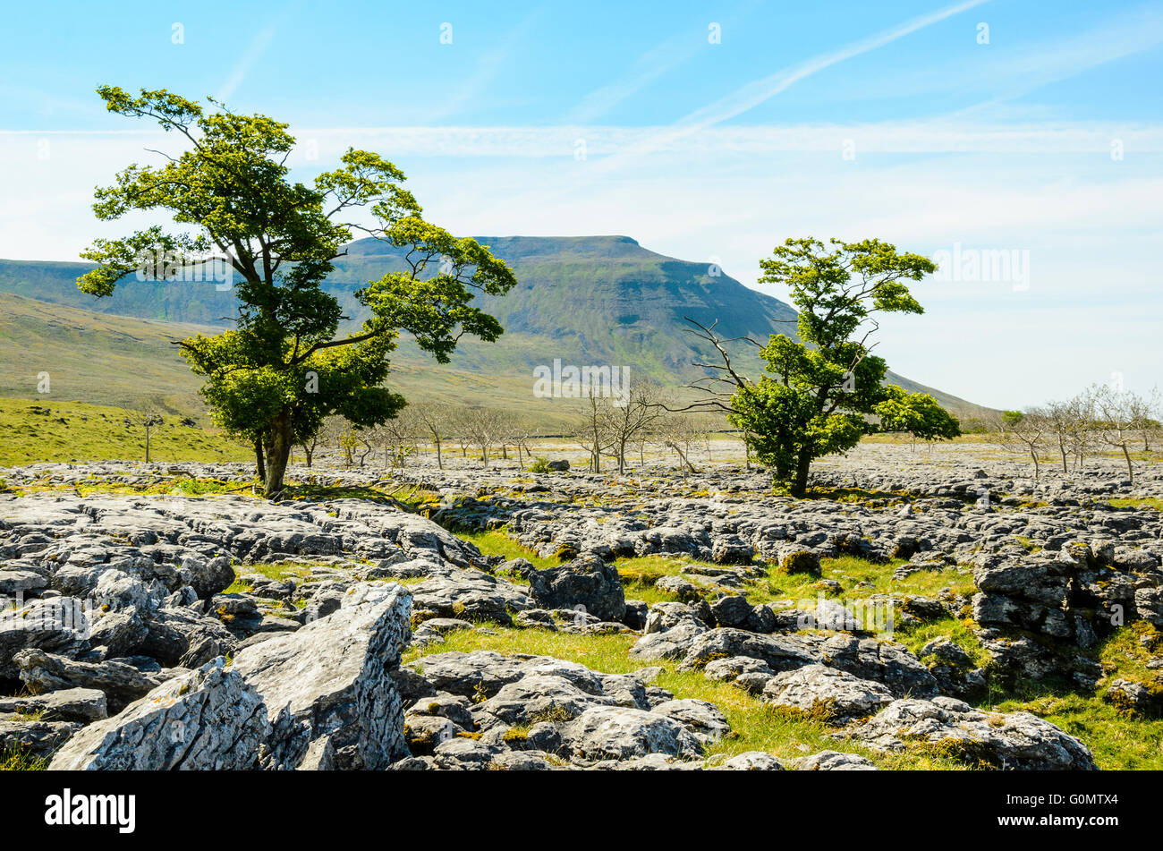 Limestone scars below Ingleborough in the Yorkshire Dales National Park ...