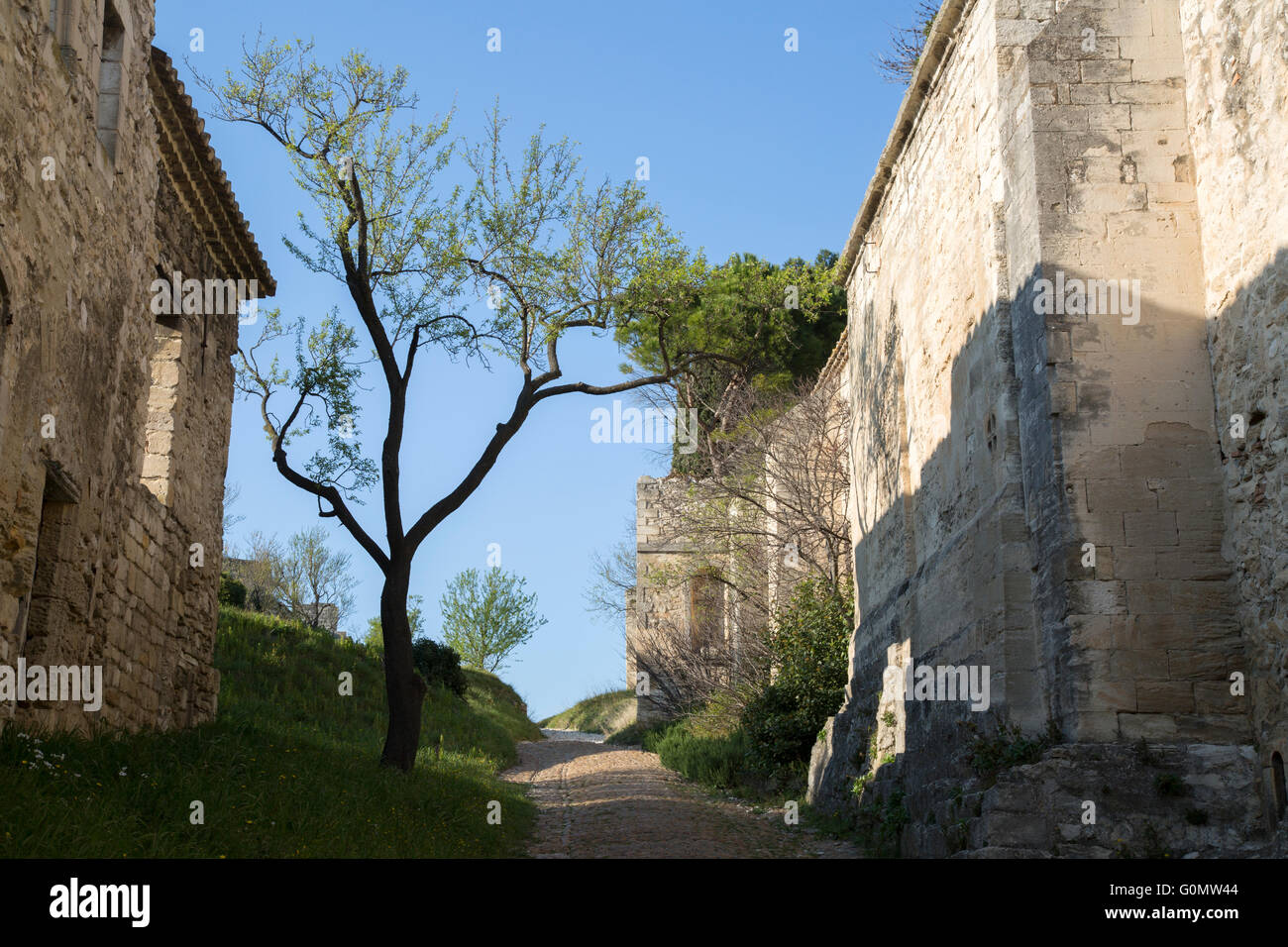 Footpath with Overhanging Tree, France Stock Photo - Alamy