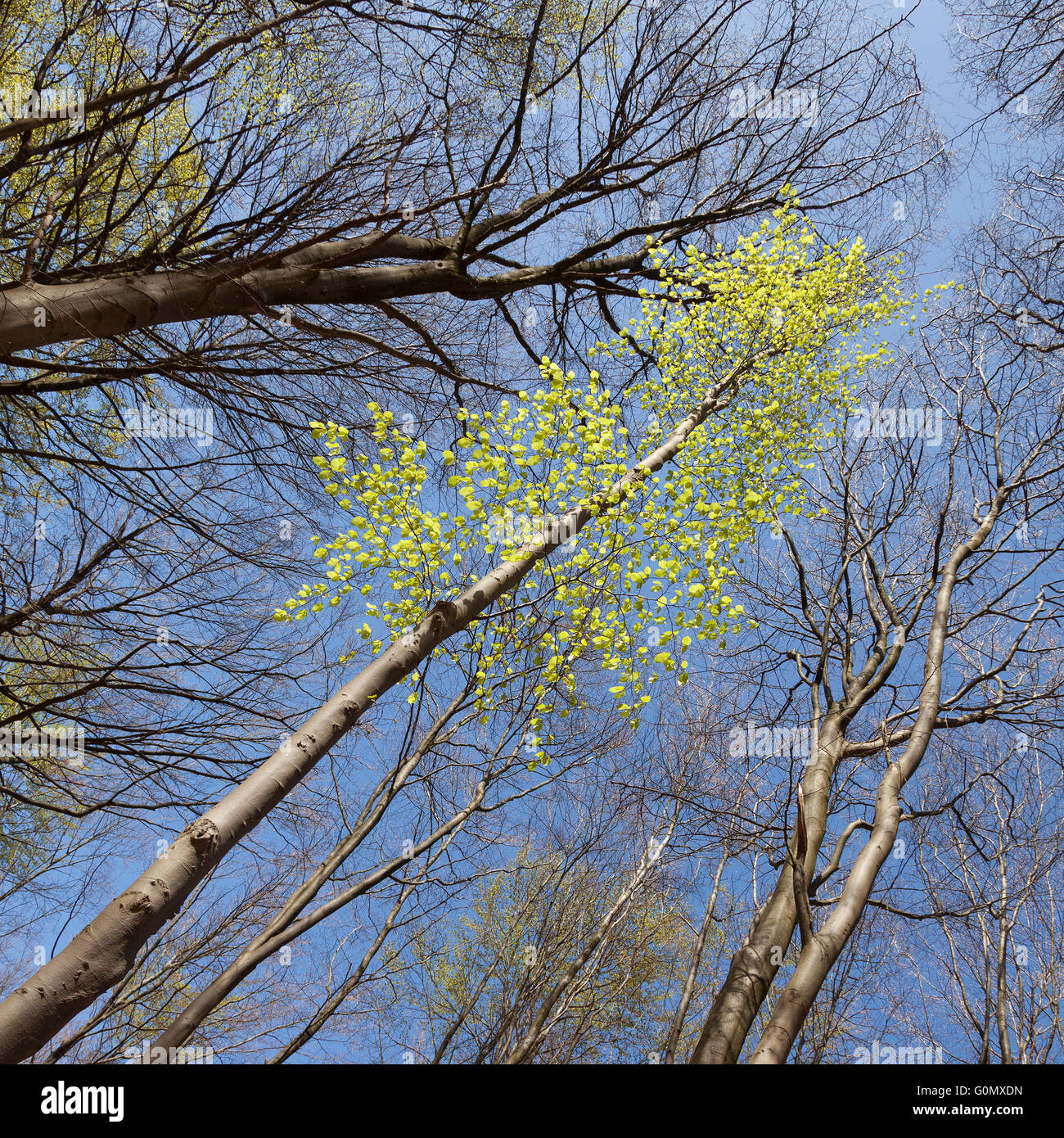 Sky burst hi-res stock photography and images - Alamy