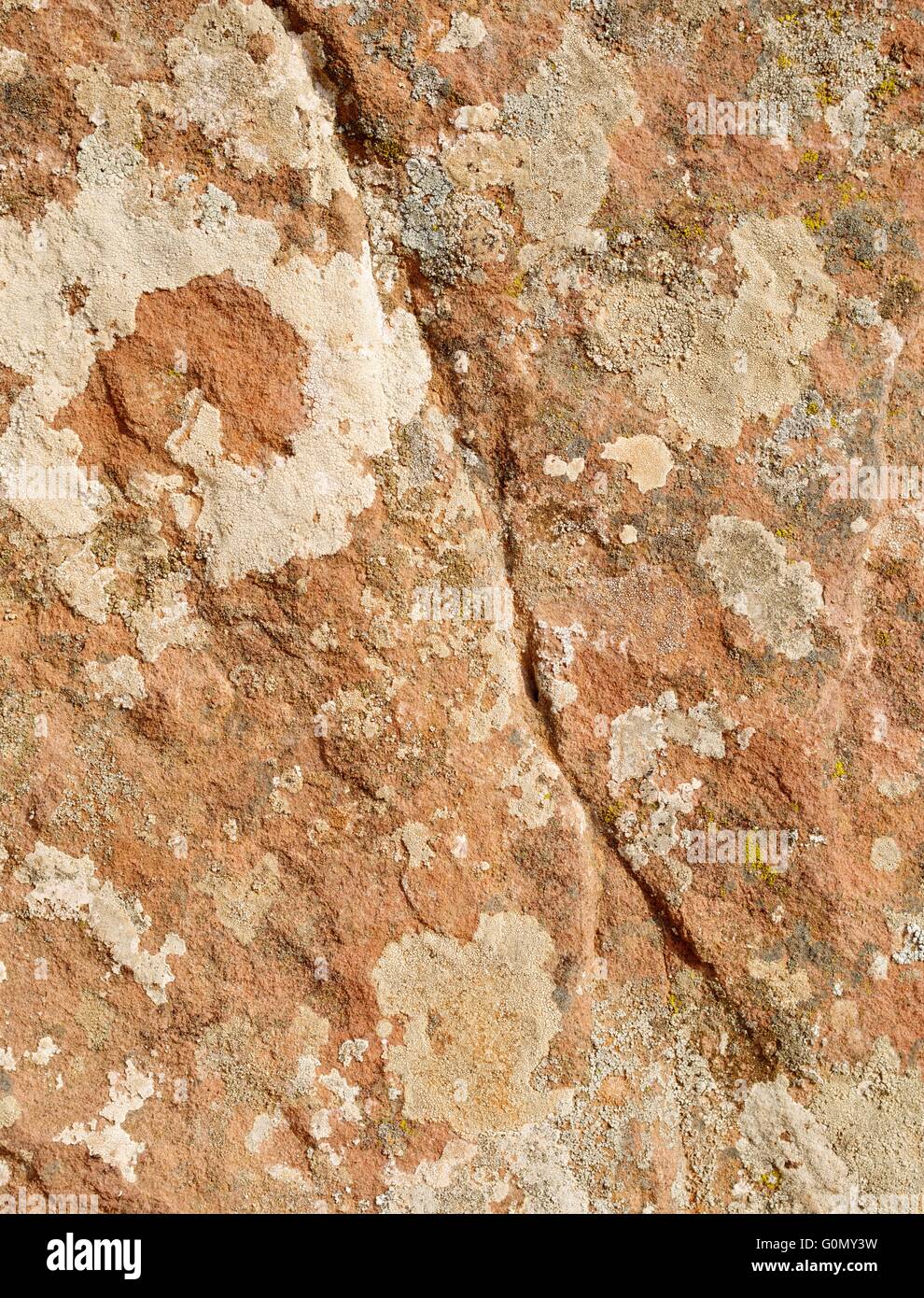 Stone background close up at high resolution Stock Photo - Alamy