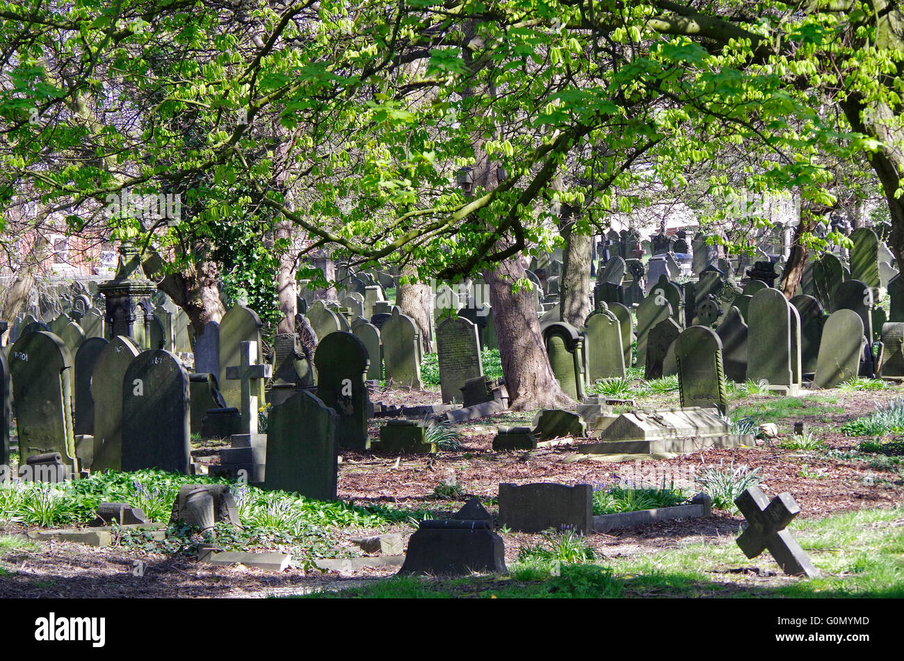 Leeds Burial Ground, Beckett Street Cemetery Stock Photo - Alamy