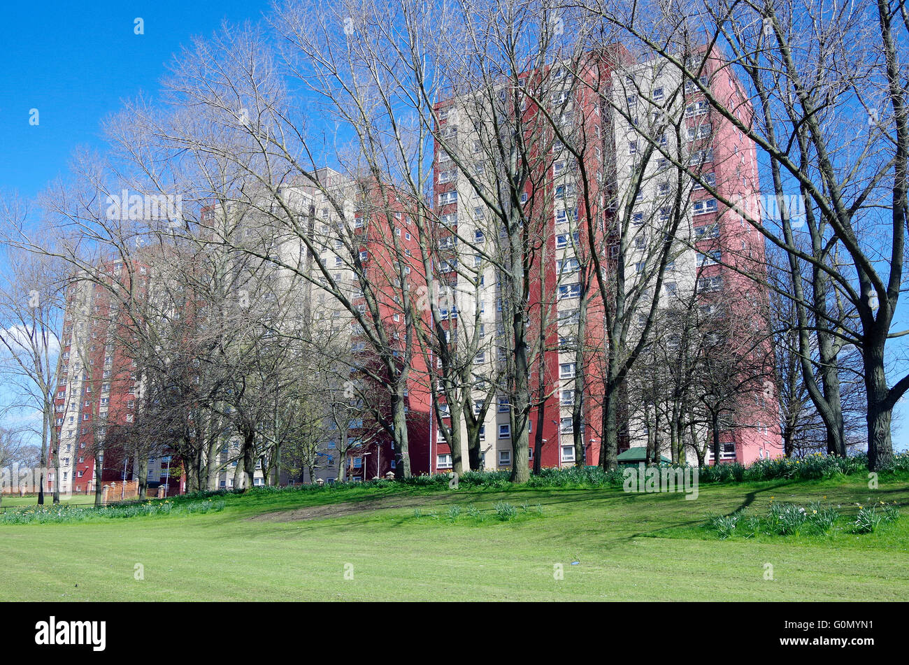 Shakespeare Approach Flats, 3 Tower Blocks, Leeds Stock Photo - Alamy