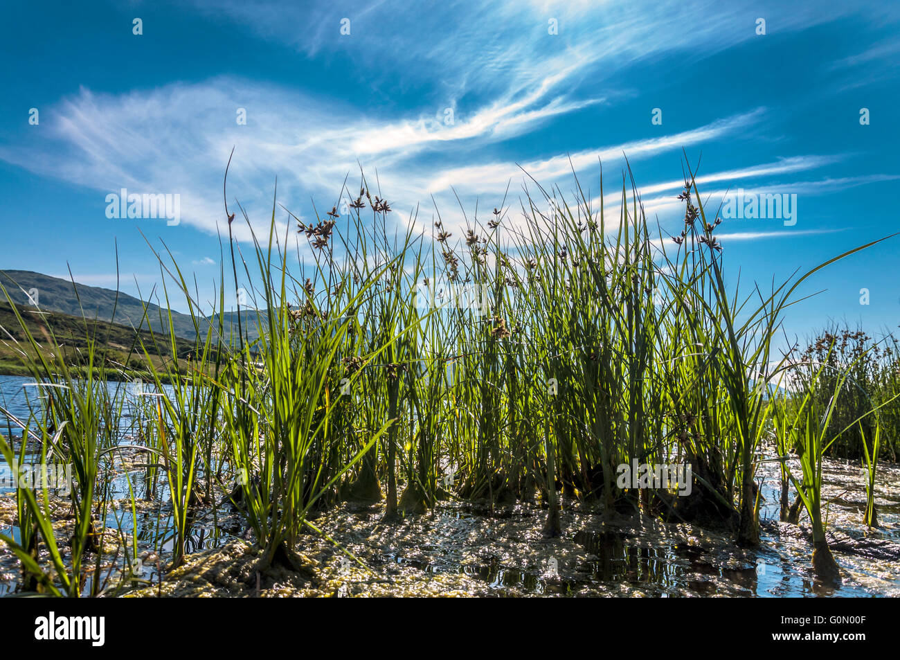 Freshwater resource hi-res stock photography and images - Alamy