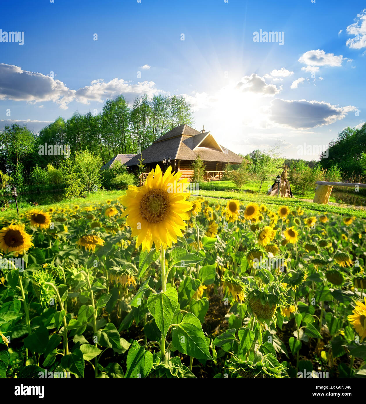 Rural flower field old house hi-res stock photography and images - Alamy