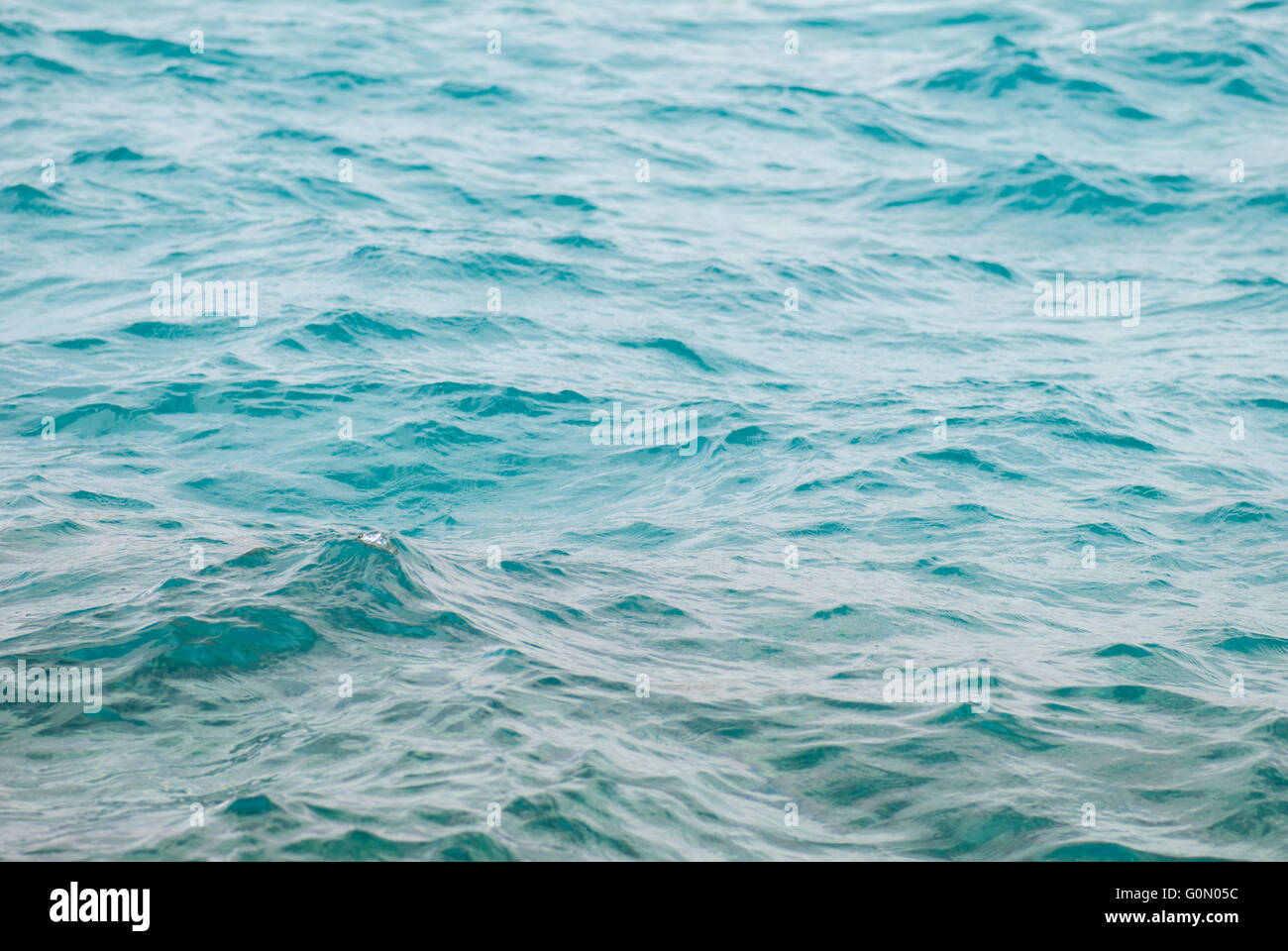 Photo closeup of beautiful clear turquoise sea ocean water surface with ...