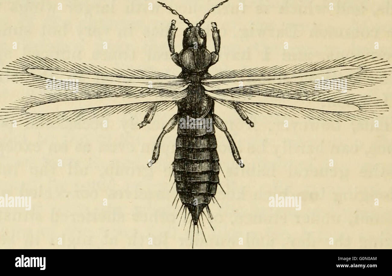 "Elements of entomology: an outline of the natural history and ...