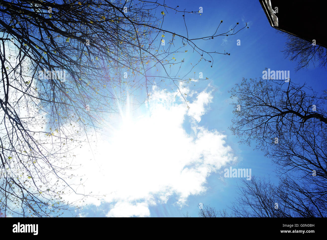 Look directly hi-res stock photography and images - Alamy