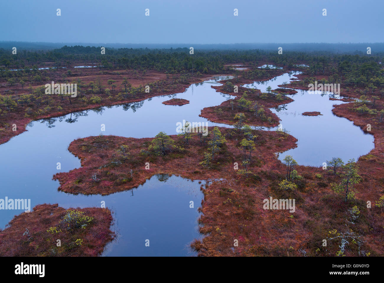 Autumn wetland calm water forest hi-res stock photography and images ...