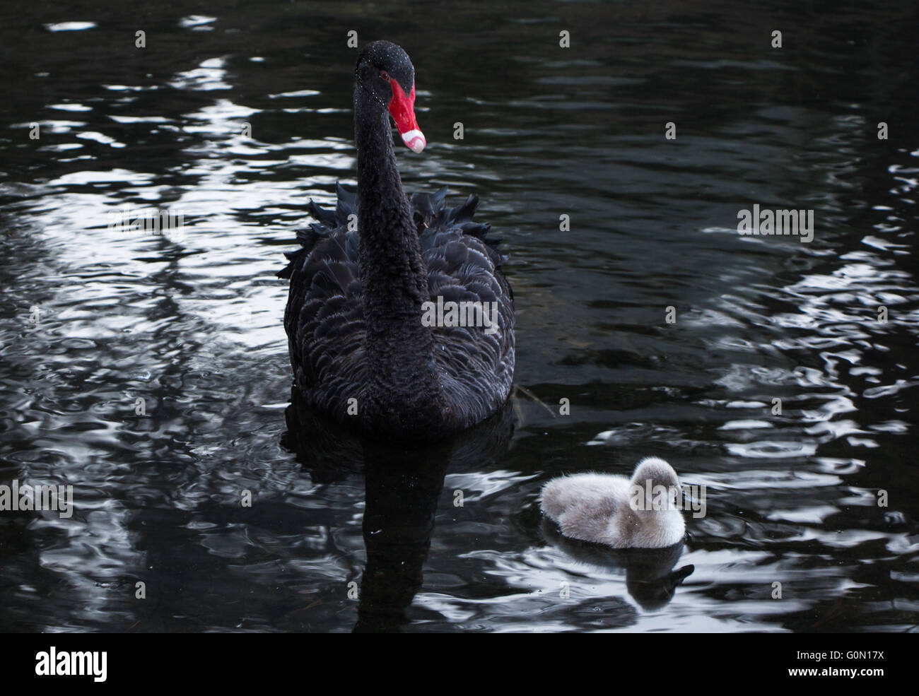 Carm water hi-res stock photography and images - Alamy