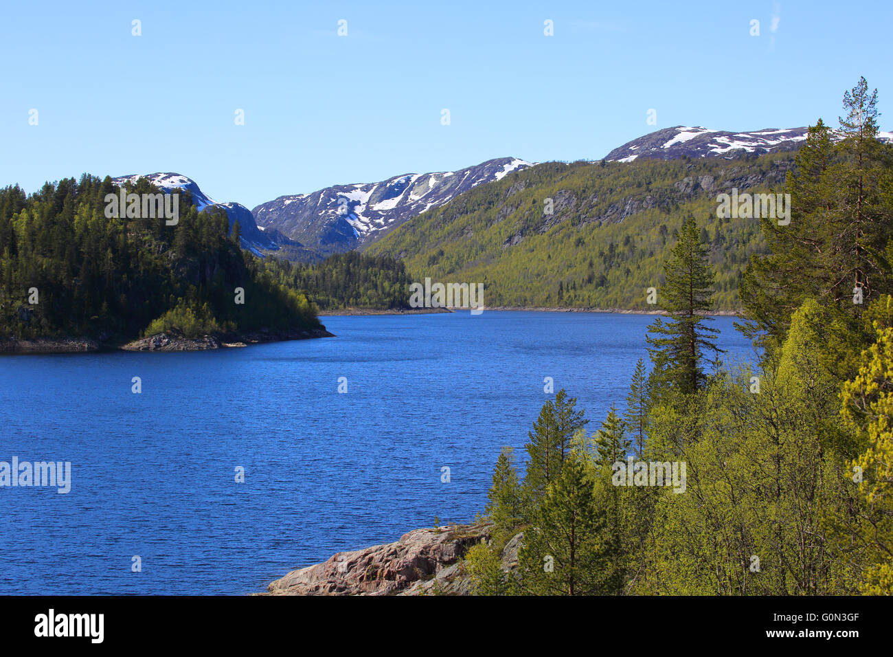 Summer Norway landscape with forest mountains and fjord Stock Photo - Alamy