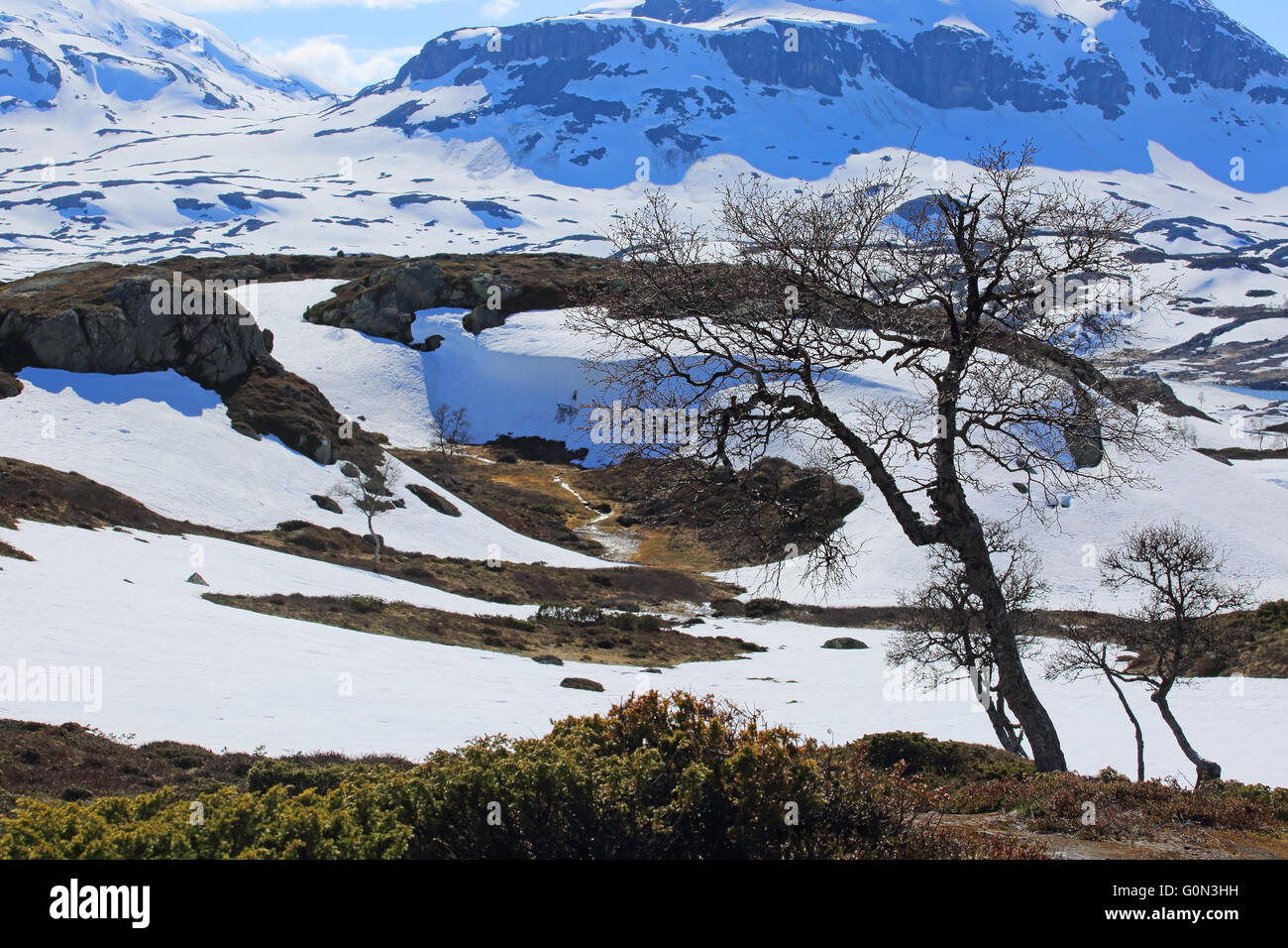 Spring valley landscape with mountains and melting snow, Norway Stock ...