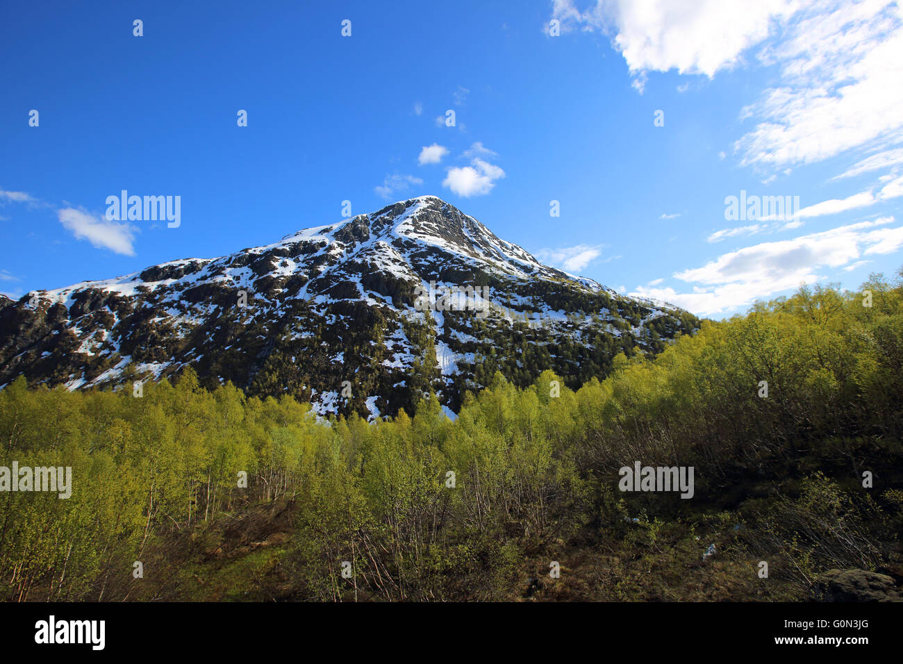 Spring Norway landscape with mountains and forest Stock Photo - Alamy