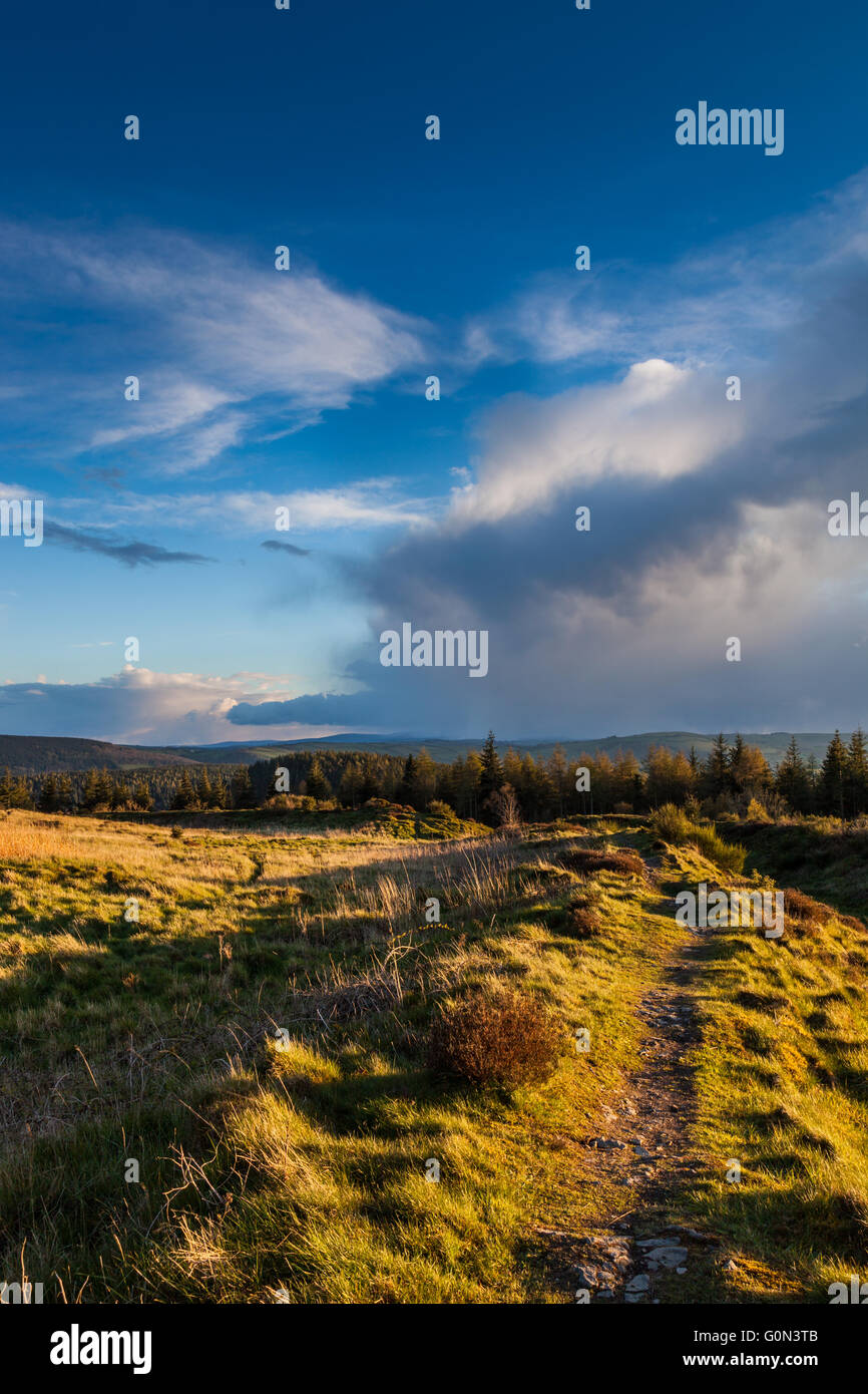 Looking towards Clun Valley across the Iron Age ramparts of Bury ...