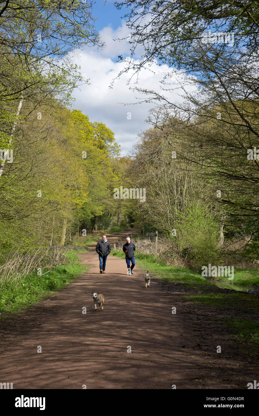 Men walking dogs hi-res stock photography and images - Alamy