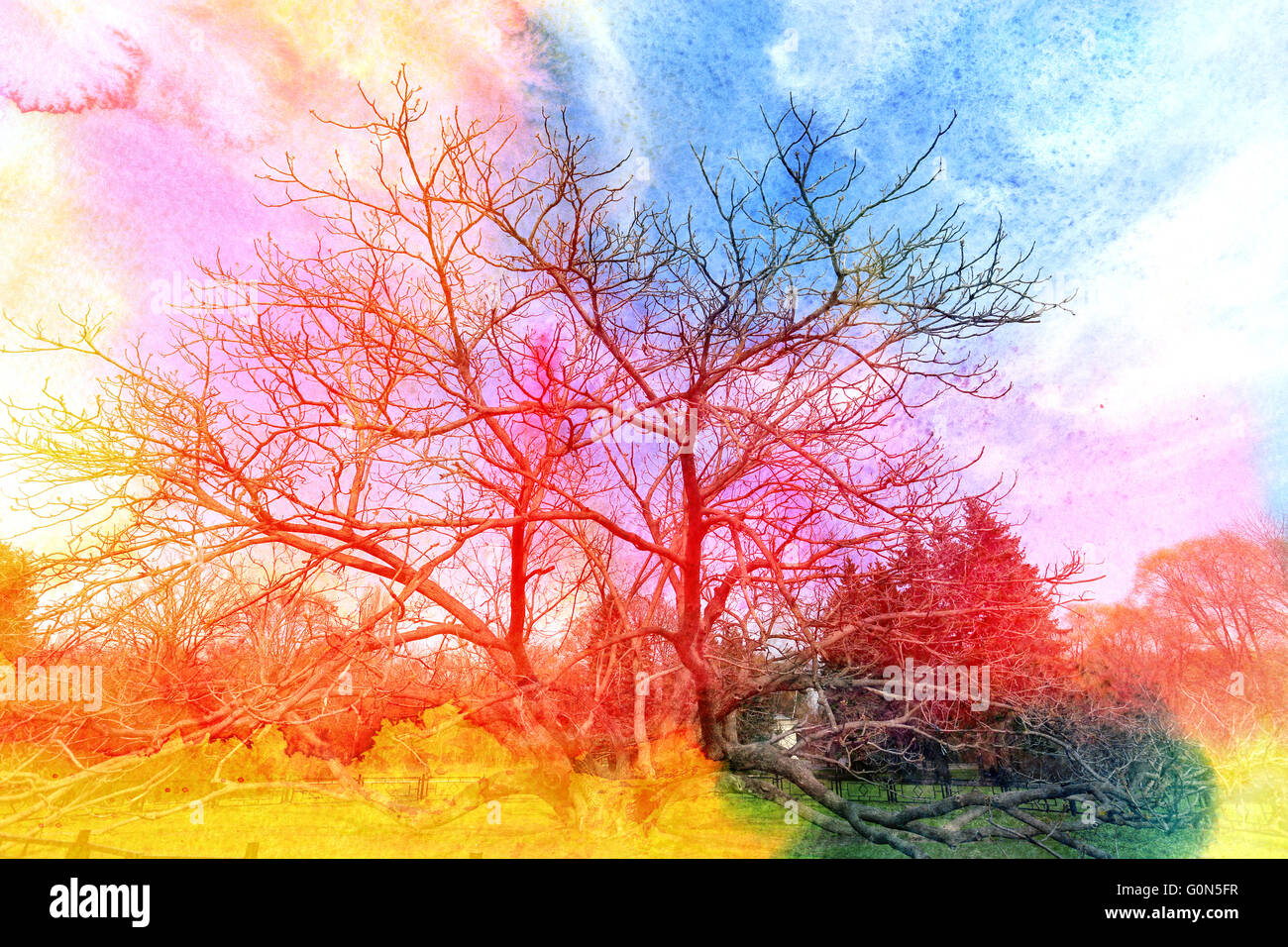 Abstract watercolor painting nature trees hi-res stock photography and ...