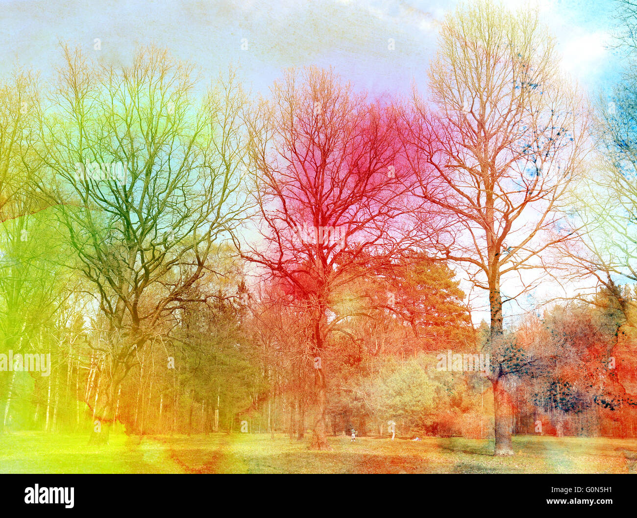Watercolor retro wonderful spring trees in park Stock Photo - Alamy