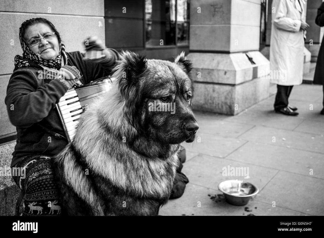 Homeless woman dog hi-res stock photography and images - Alamy