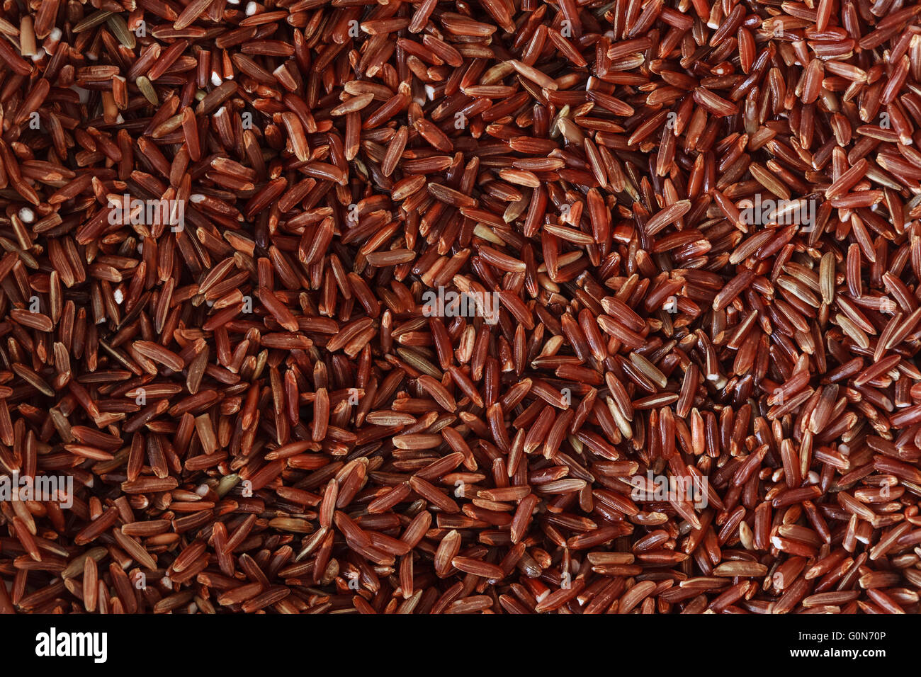 Red rice macro hi-res stock photography and images - Alamy
