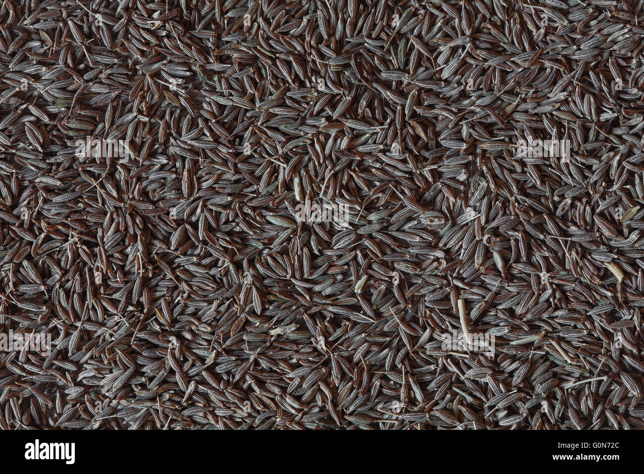 cumin seeds photo Stock Photo - Alamy