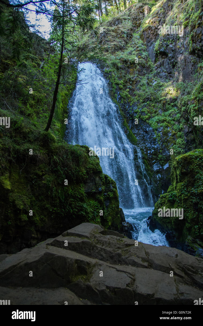 Susan Creek Falls High Resolution Stock Photography and Images - Alamy