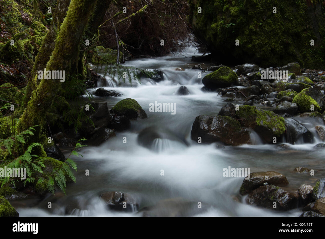 Creek hi-res stock photography and images - Alamy