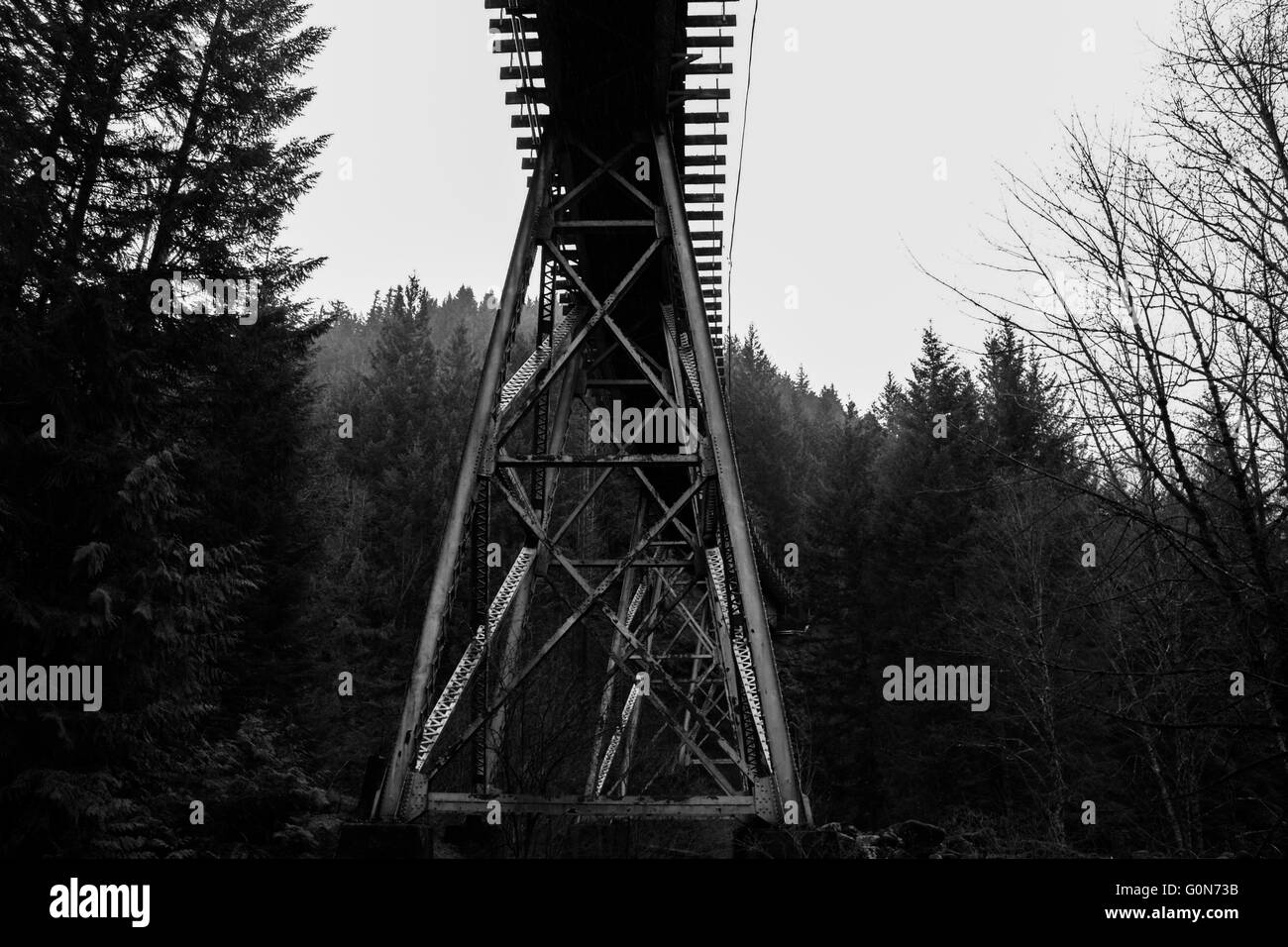 Old Train Bridge in the Forest Stock Photo - Alamy