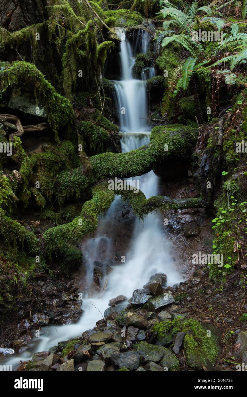 Long Exposure Waterfall Stock Photo - Alamy