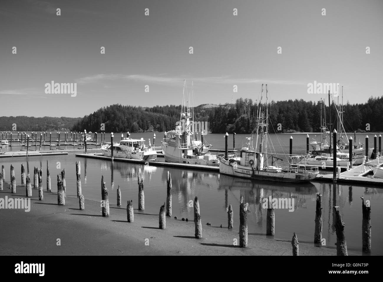 Oregon plants Black and White Stock Photos & Images - Alamy