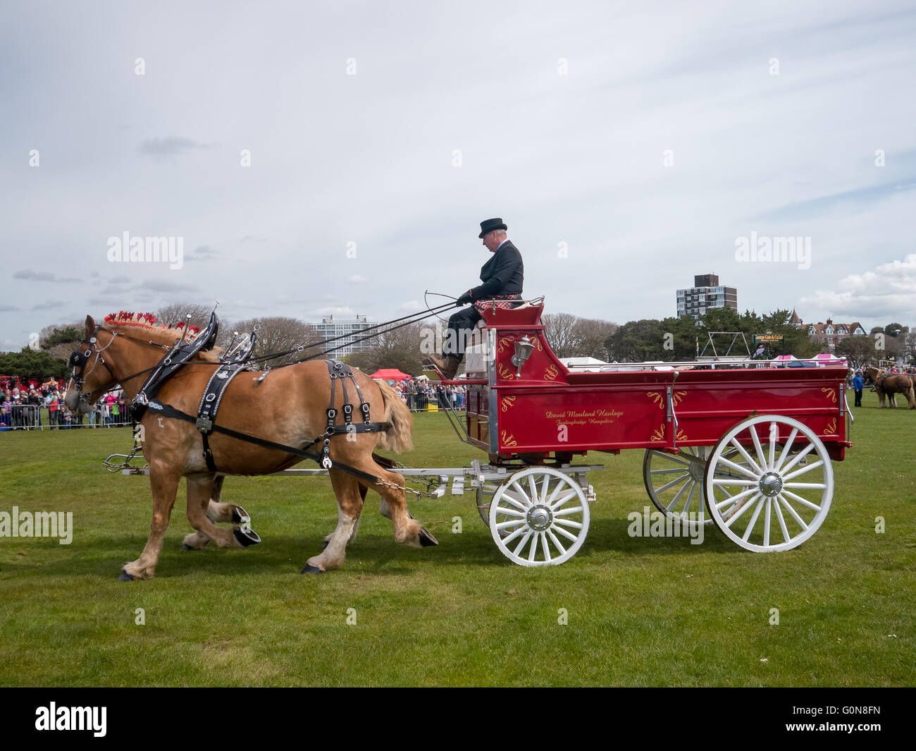 Heavy horse pulling cart hi-res stock photography and images - Alamy