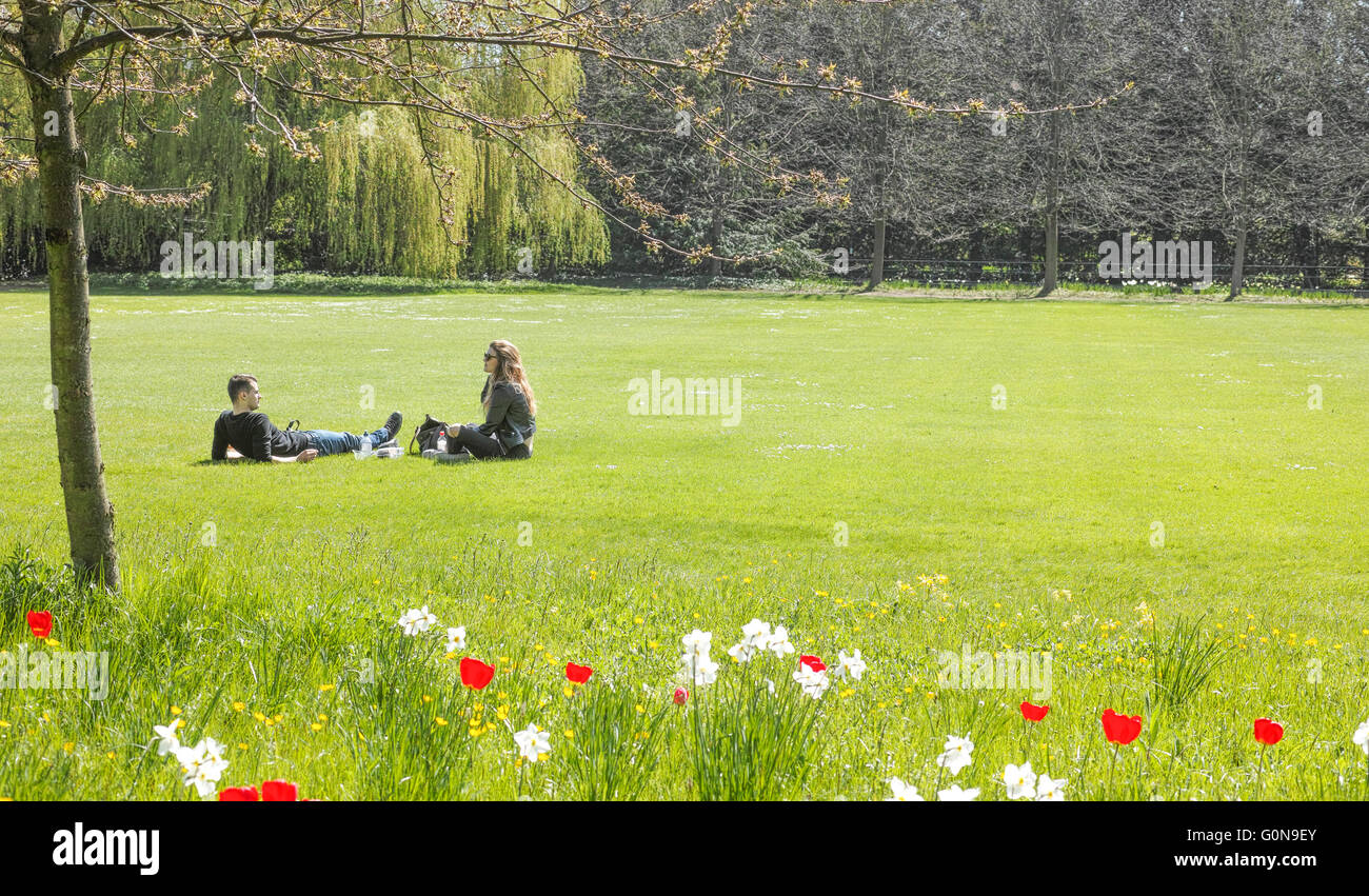 Students on a lawn in the gardens at Trinity college (university of ...
