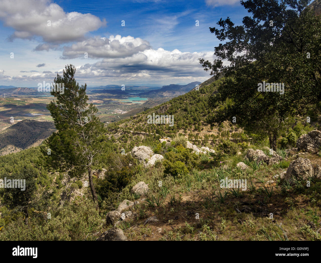 Natural landscape. Sierra de las Nieves Natural Park. Málaga Andalusia ...