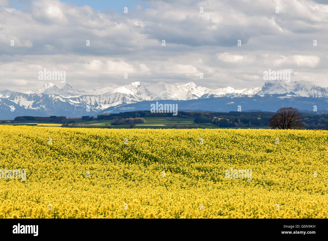 Dramatic Swiss landscape, Switzerland Stock Photo - Alamy